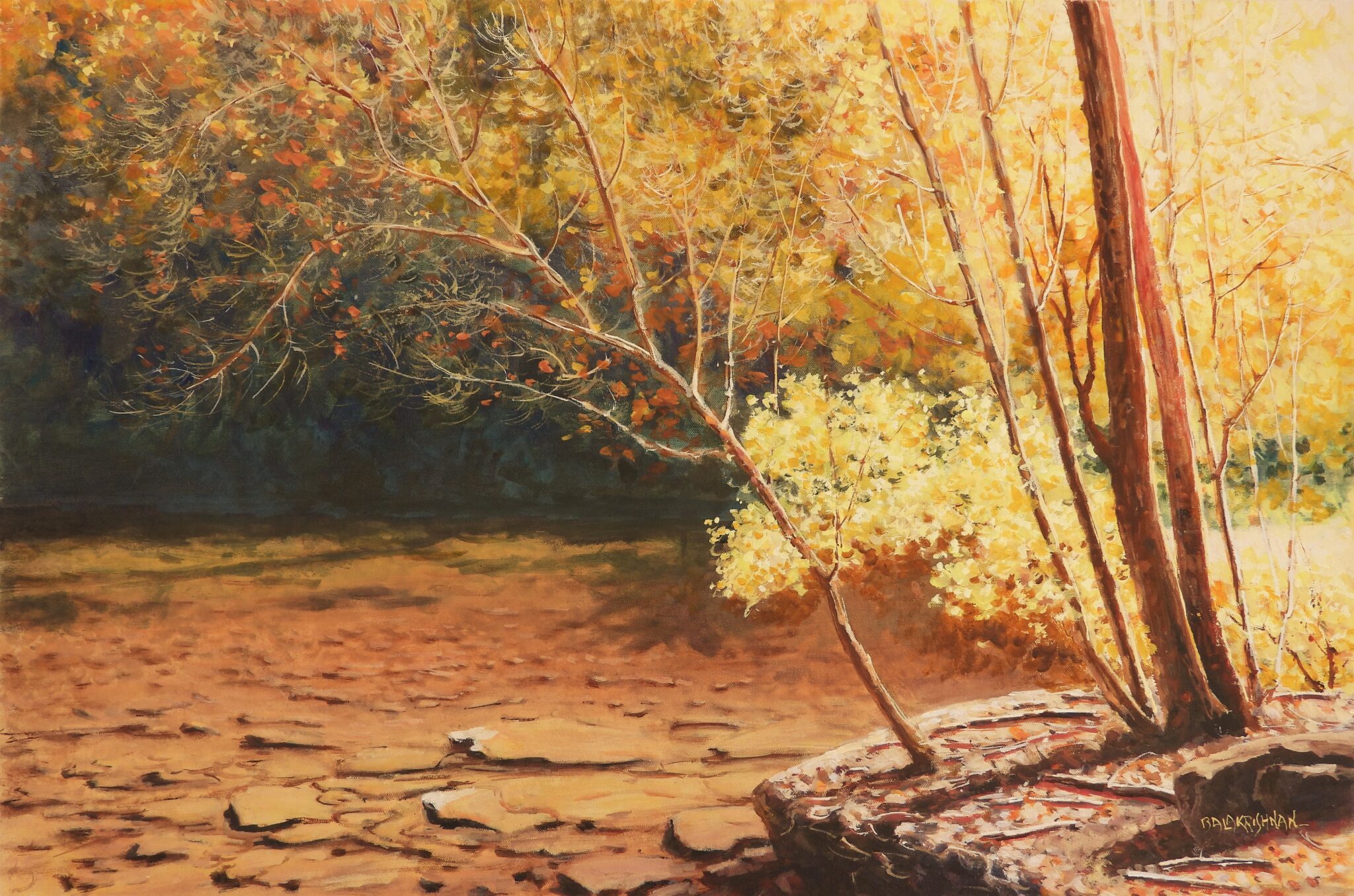 autumnmorninglight | bala fine art